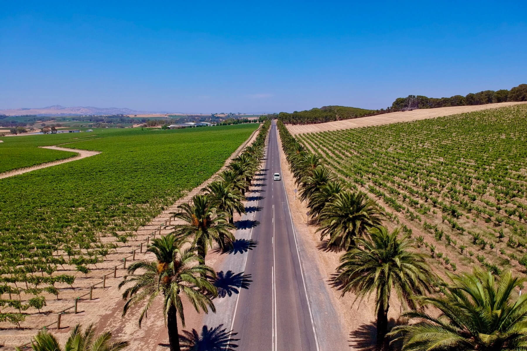 Award Winning Adelaide Wine Tours - Cellar Door Wine Tours